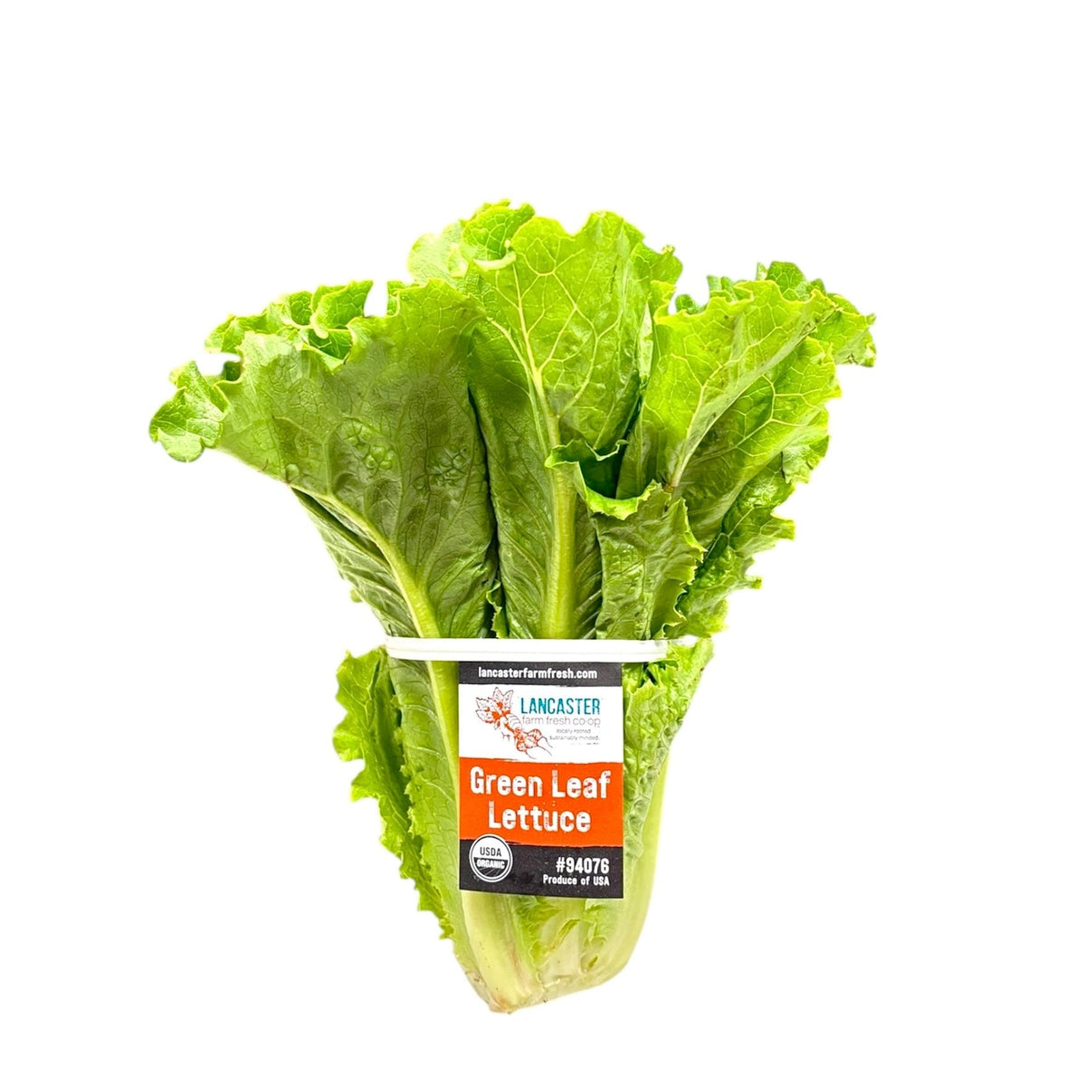 Cal-Organic Green Leaf Lettuce 1 Bunch — H Mart Manhattan Delivery