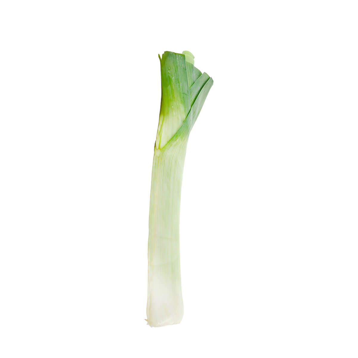 American Leeks 1 bunch - H Mart Manhattan Delivery