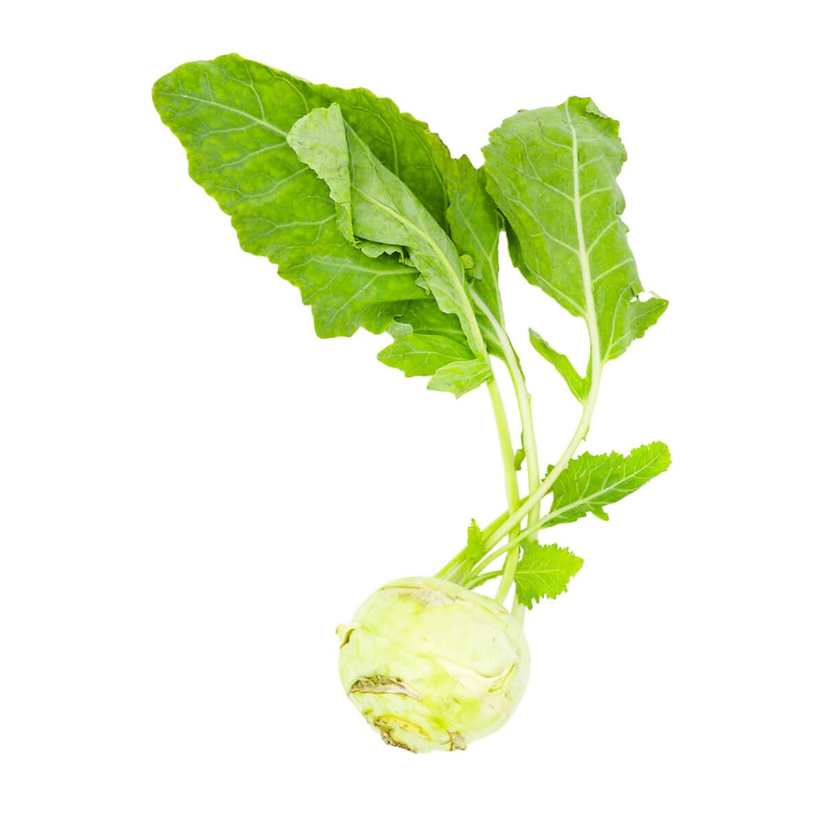 Kohlrabi Chou Rave 1lb - H Mart Manhattan Delivery